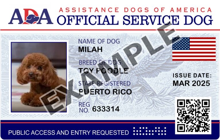 Service Dog ID Card - Instant Service And Support Dog Documents