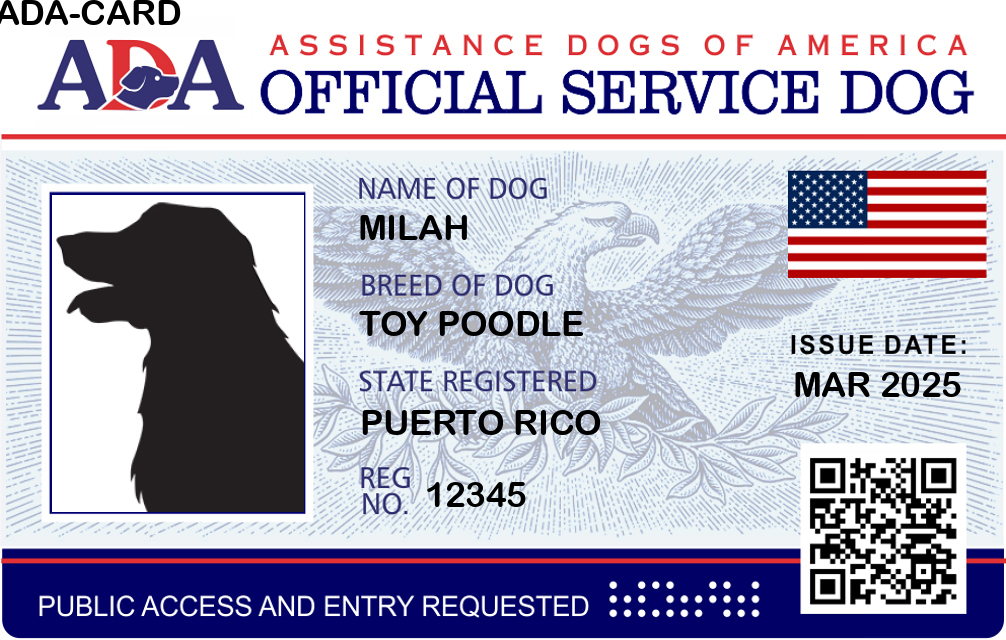 Support Dog Card - Instant Service And Support Dog Documents