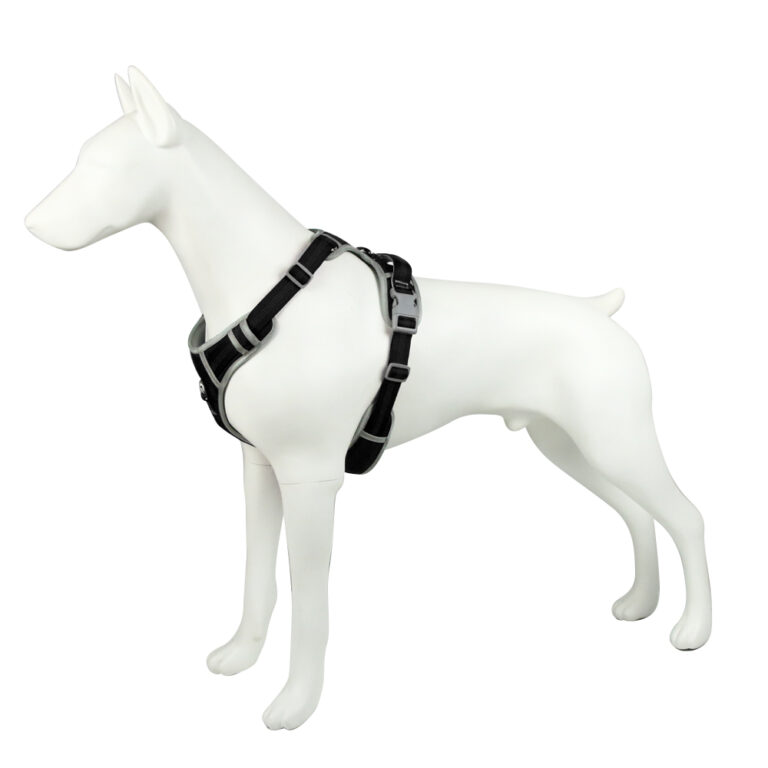 For All Your Service & Support Dog Needs