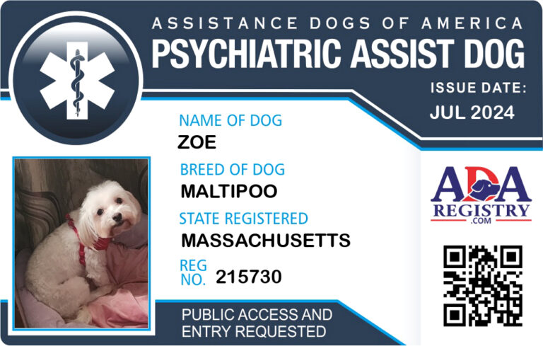 Psychiatric Assistance – Service Dog Outfitters