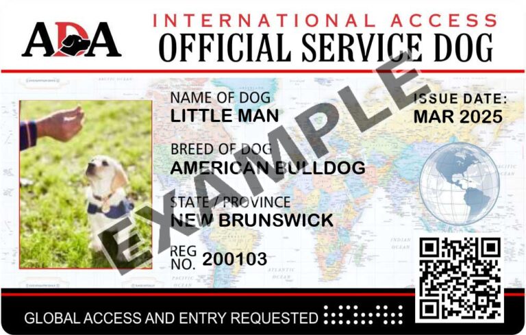 USA & CANADA Service Dog ID Cards – Service Dog Supplies