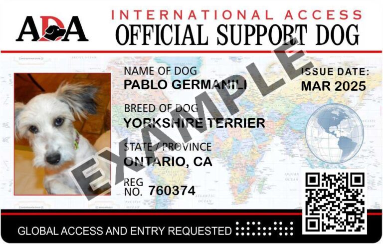 Home - Instant Service And Support Dog Documents