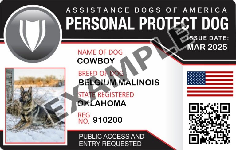 USA & CANADA Service Dog ID Cards – Service Dog Supplies