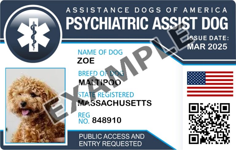 Service Dog Vest Service Dog Training School International - Product ...