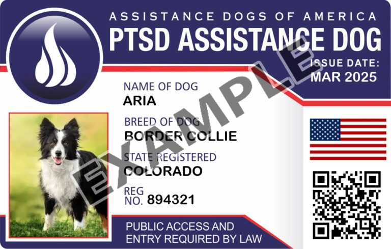 PTSD Assistance Dog - Instant Service And Support Dog Documents