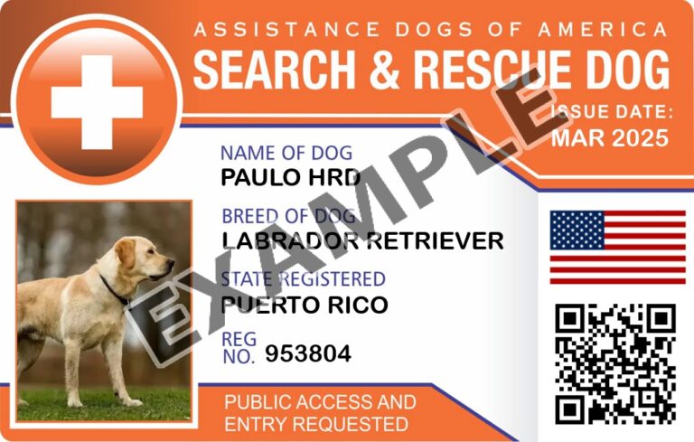 USA Service Dog ID Cards Archives - Instant Service And Support Dog ...