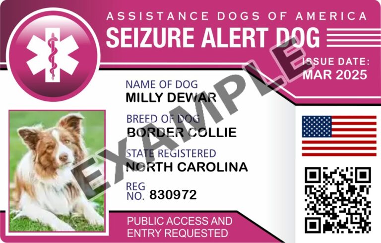 Seizure Alert Dog - Instant Service And Support Dog Documents