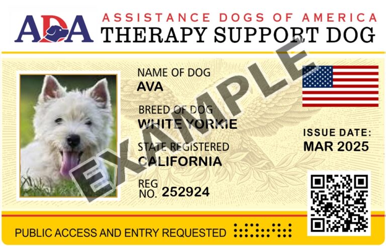 US ADA Therapy Cards Archives - Instant Service And Support Dog Documents