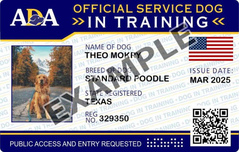 USA Service Dog ID Cards – Service Dog Outfitters