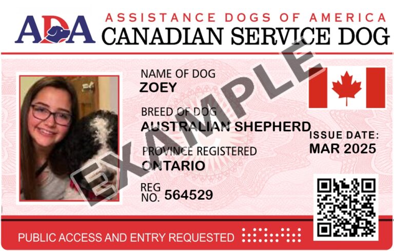 Service Dog Outfitters – 1-800-921-7651 9-4 MST