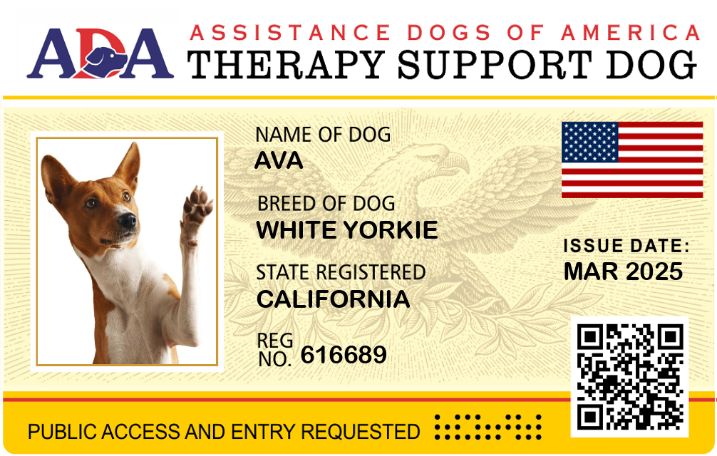 Therapy Dog ID Card – Service Dog Outfitters