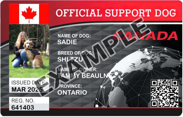 Service Dog Outfitters – 1-800-921-7651 9-4 MST