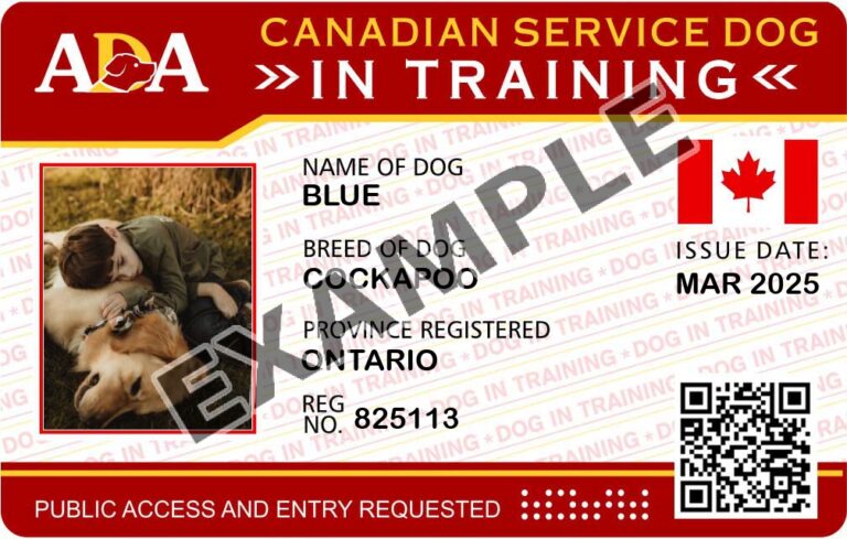 USA & CANADA Service Dog ID Cards – Service Dog Supplies