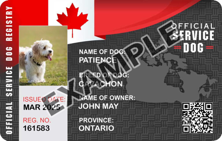 Home - Instant Service And Support Dog Documents