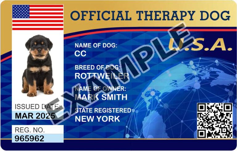 USA Service Dog ID Cards – Service Dog Outfitters