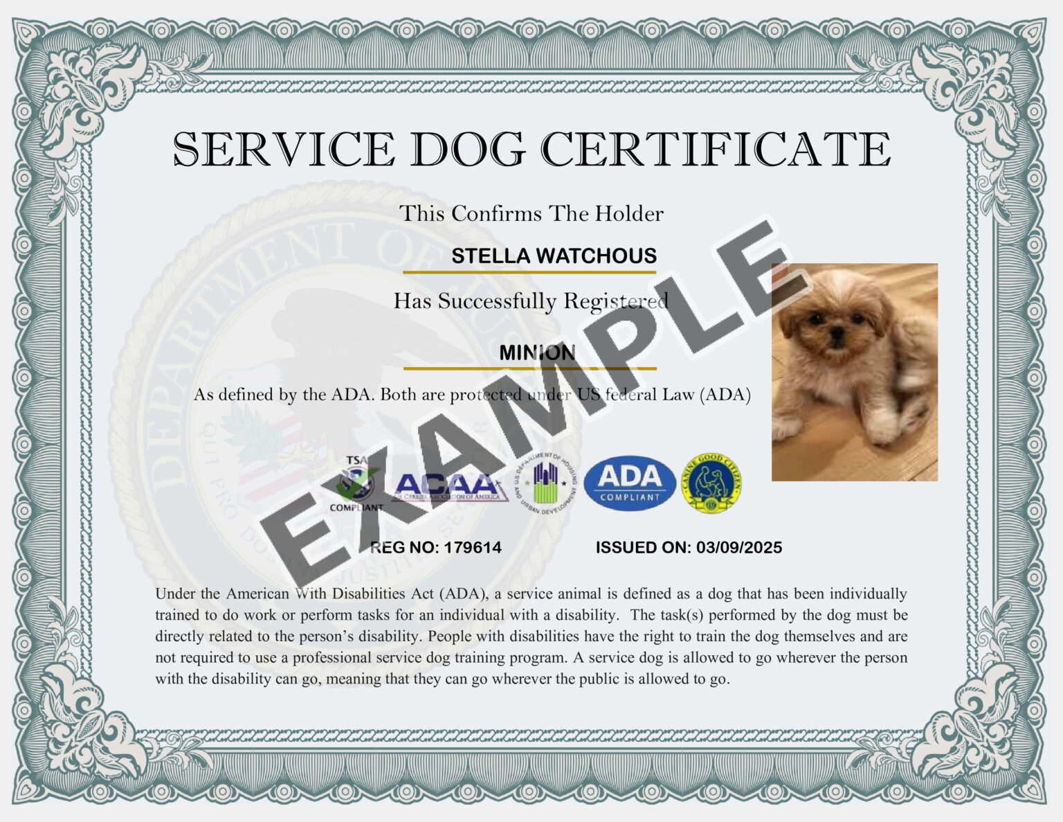 Service Dogs Home Page - Instant Service & Support Documents