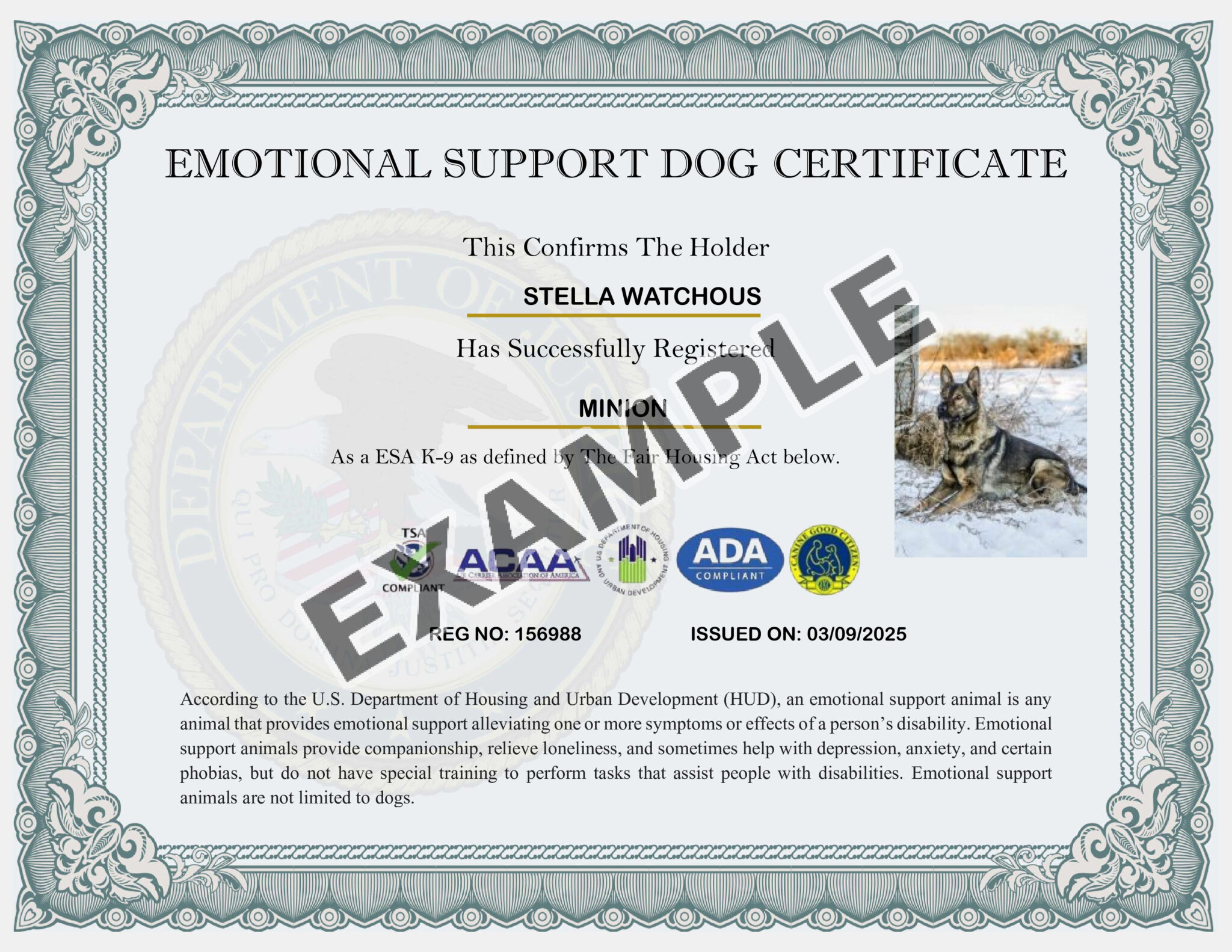Support Dog ID Card - Instant Service And Support Dog Documents