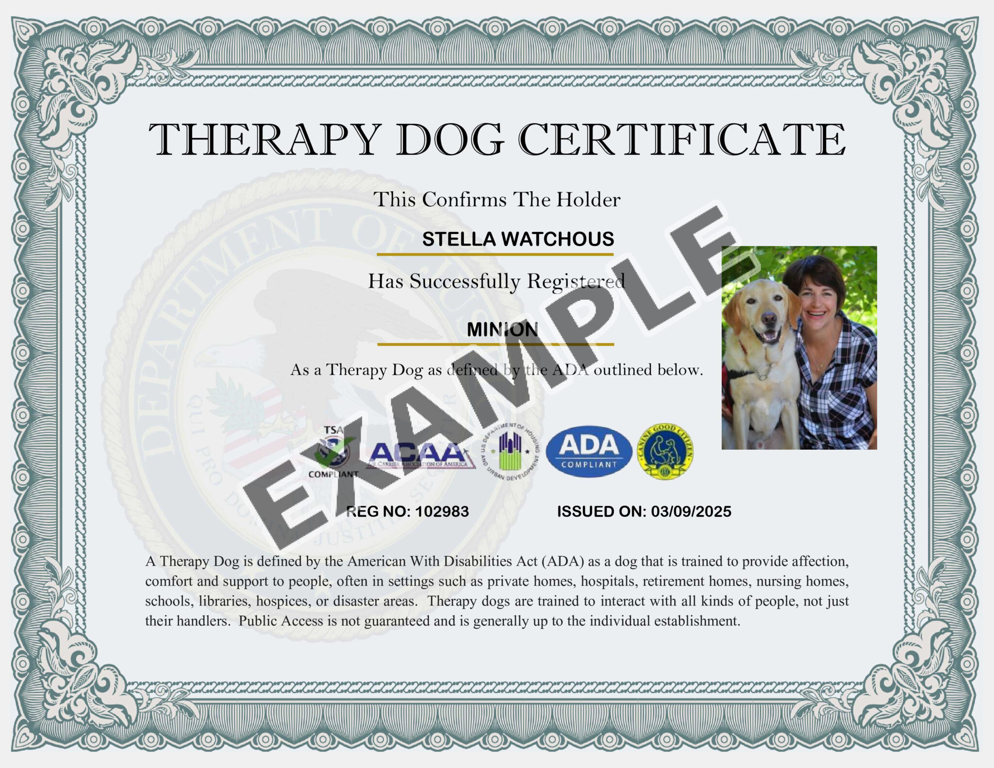 Therapy Dog ID Card - Instant Service And Support Dog Documents