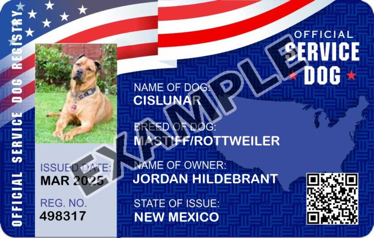 Juniper - Instant Service And Support Dog Documents