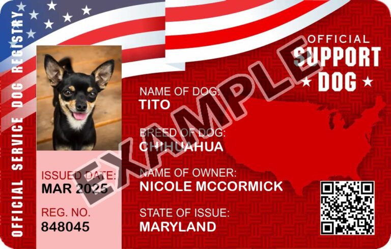 Support Dog Card - Instant Service And Support Dog Documents