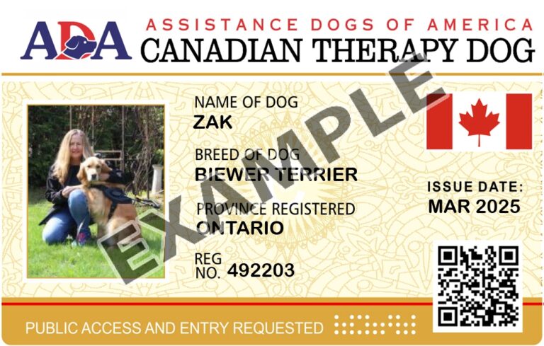 USA & CANADA ID Cards Archives - Instant Service And Support Dog Documents